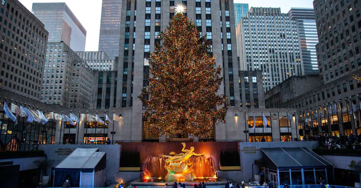 Yes, they've already picked the Rockefeller Center's giant Christmas ...